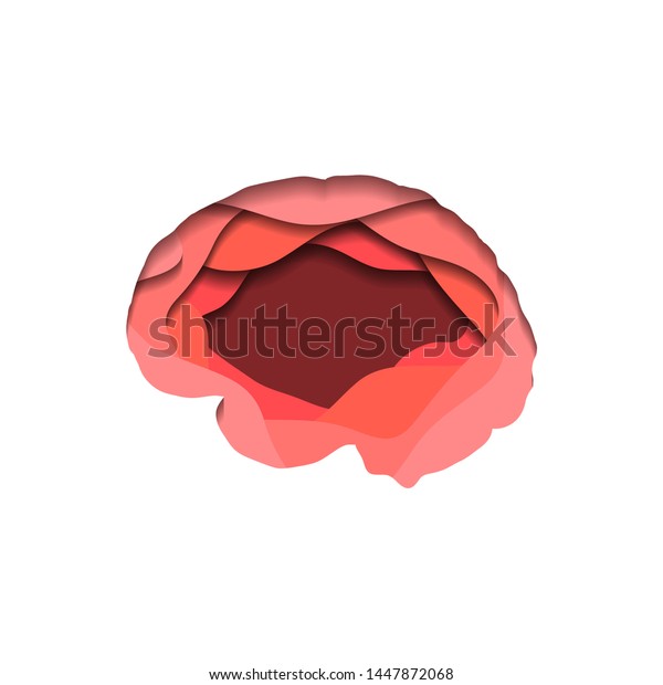 Layered Human Brain Cut Out Paper Stock Vector (Royalty Free ...