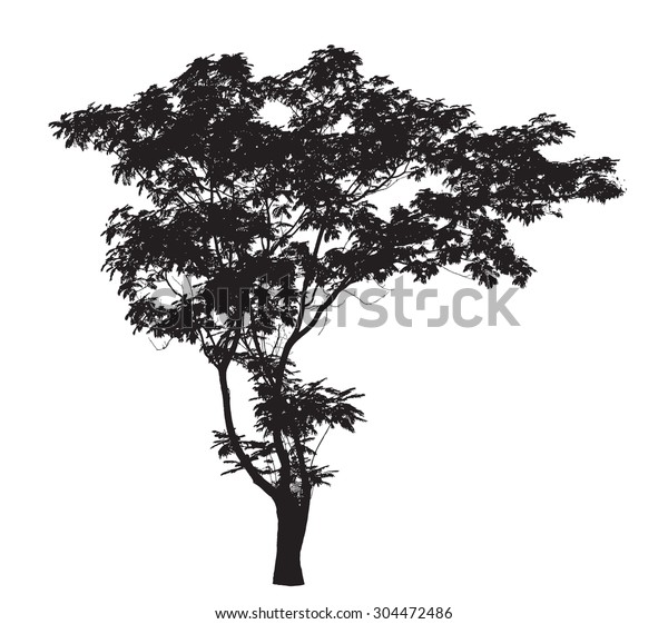 Lead Tree Silhouette Detailed Vector Stock Vector (Royalty Free ...