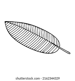 Leaf Outline Vector Illustrationisolated On White Stock Vector (Royalty ...