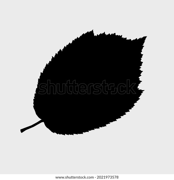 Leaf Raspberry Plant Silhouette On White Stock Vector (Royalty Free ...