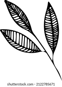 Leaflets Line Art Branch Stock Vector (Royalty Free) 2122785671 ...