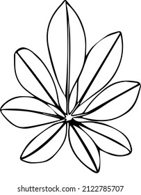 Leaflets Line Art Branch Stock Vector (Royalty Free) 2122785707 ...
