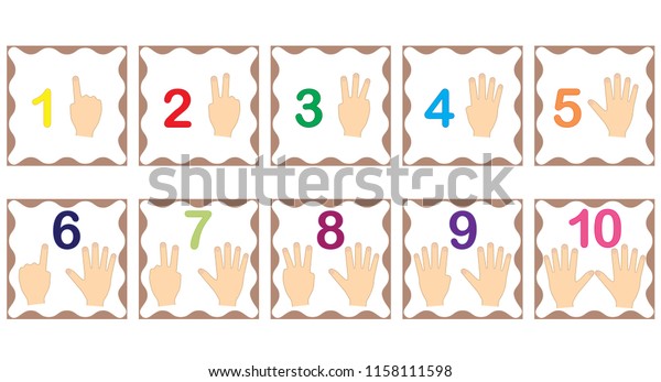 Learning Numbers Mathematics Fingers Hand Flash: เวกเตอร์สต็อก (ปลอดค่า ...