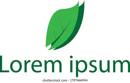 Leave Design Logo Vector Stock Stock Vector (Royalty Free) 1797444994 ...