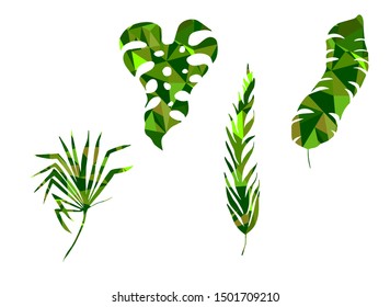 Leaves Tropical Plants Form Triangular Grid Stock Vector (Royalty Free ...