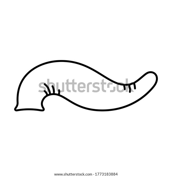 Leech Icon Linear Logo Hirudotherapy Leeching Stock Vector (Royalty ...