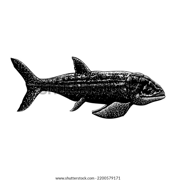 Leedsichthys Hand Drawing Vector Illustration Isolated Stock Vector ...