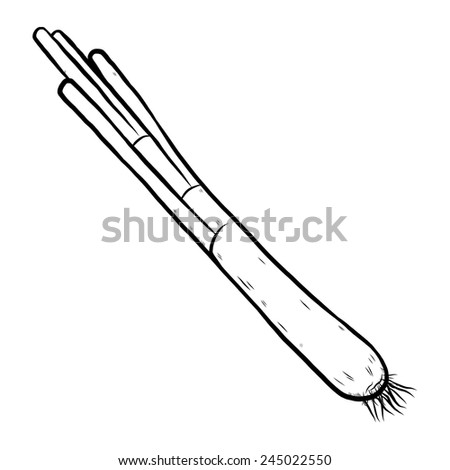 Leek Cartoon Vector Illustration Black White Stock Vector (Royalty Free ...
