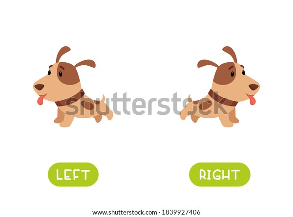 Left Right Antonyms Word Card Vector Stock Vector (Royalty Free ...