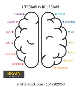 Left Right Human Brain Concept Infographics Stock Vector (Royalty Free ...