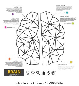 Left Right Human Brain Concept Infographics Stock Vector (Royalty Free ...