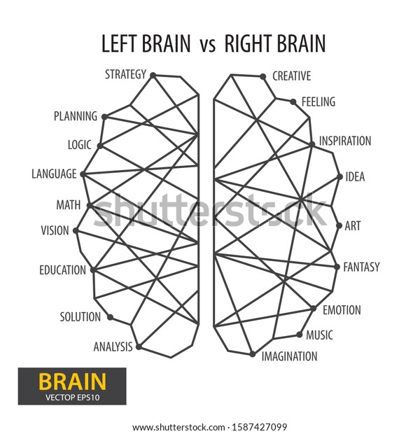 Left Right Human Brain Concept Infographics Stock Vector (Royalty Free ...
