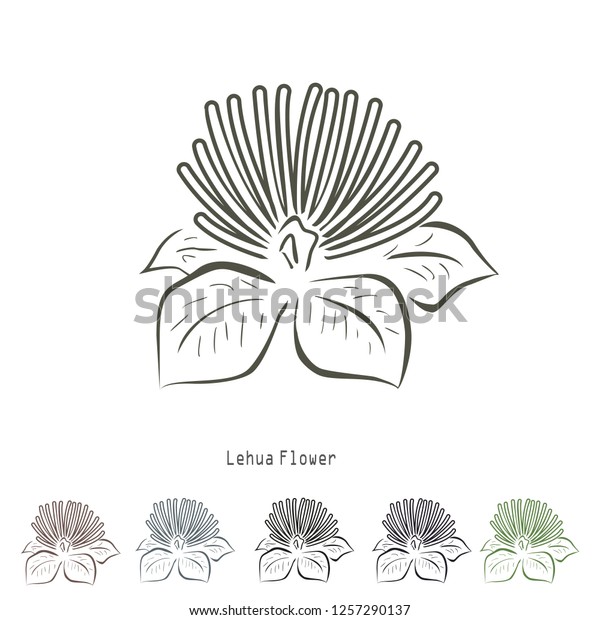 Lehua flower : 287 images, photos et images vectorielles de stock ...