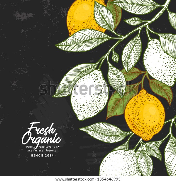 Lemon Chalkboard Design Template Engraved Botanical Stock Vector ...