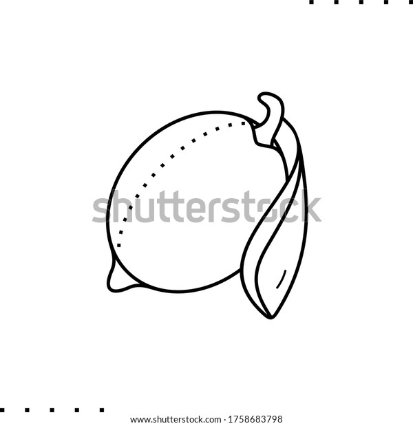 Lemon Leaf Vector Fruit Icon Outlines Stock Vector (Royalty Free ...