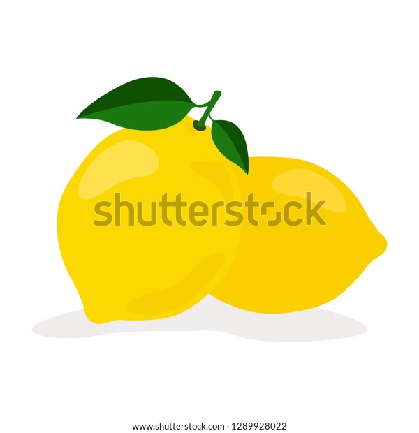 Lemon Leaves Isolated On White Background Stock Vector (Royalty Free ...