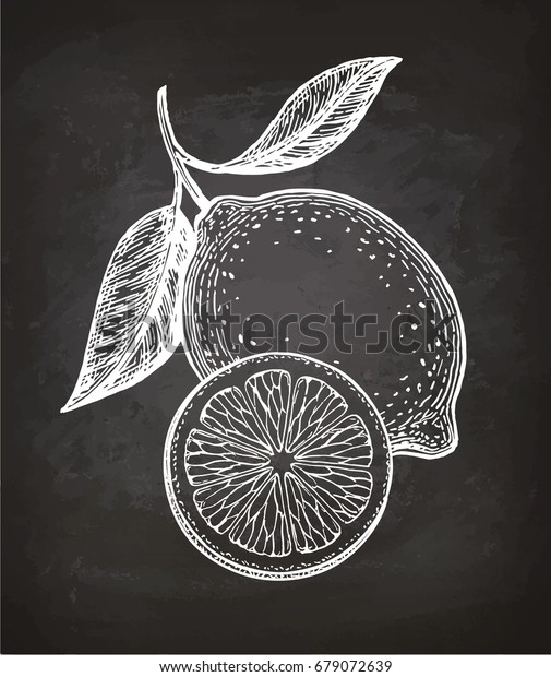 Lemon Sketch Chalk On Blackboard Background Stock Vector (Royalty Free ...