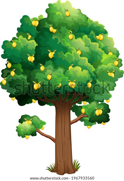 Lemon Tree Cartoon Style Isolated On Stock Vector (Royalty Free ...