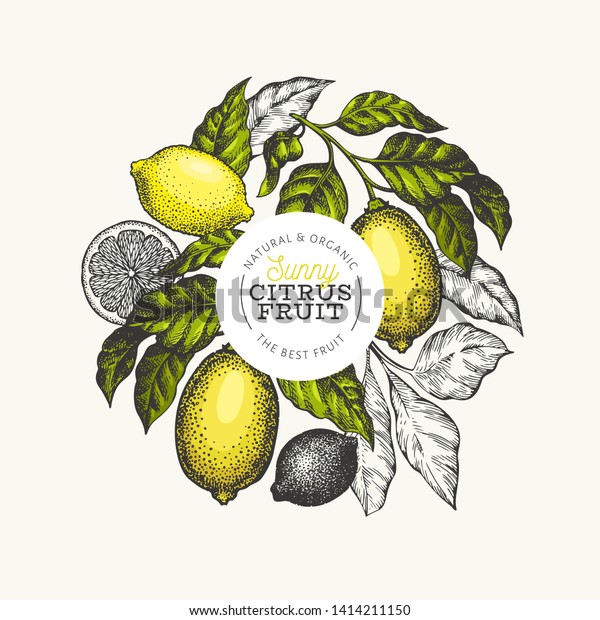 Lemon Tree Logo Template Hand Drawn Stock Vector (Royalty Free) 1414211150