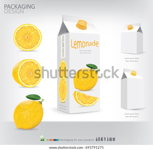 Lemonade Packaging Designillustration Stock Vector (Royalty Free ...