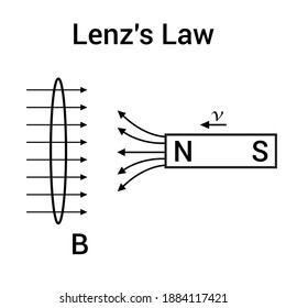 891 Lenz Images, Stock Photos & Vectors | Shutterstock