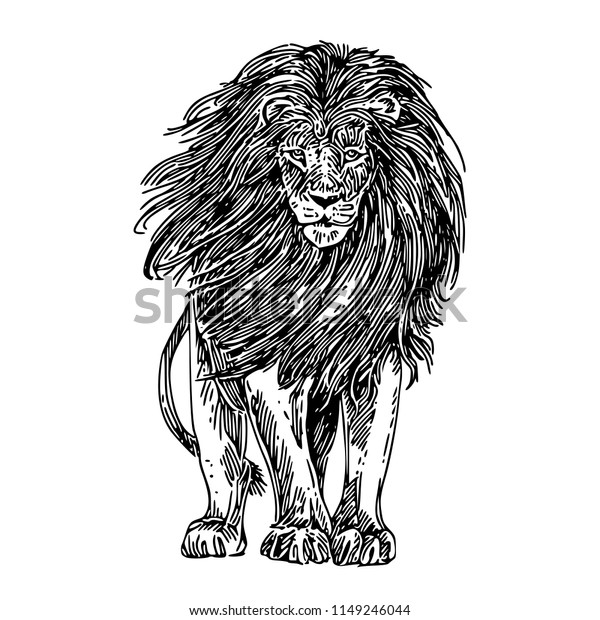 758 Sketch Leon Images, Stock Photos & Vectors | Shutterstock