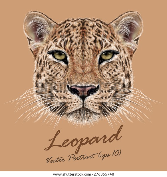 Leopard Animal Face Vector African Asian Stock Vector (Royalty Free ...