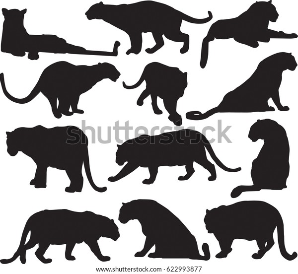contour de silhouette de léopard ou : image vectorielle de stock (libre ...