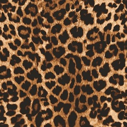 Leopard Skin Background Free Stock Photo - Public Domain Pictures