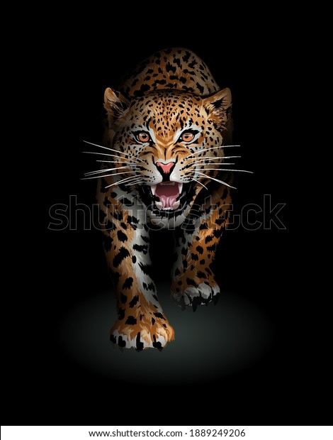 Leopard Walking Toward Shadow Illustration Stock Vector (Royalty Free ...
