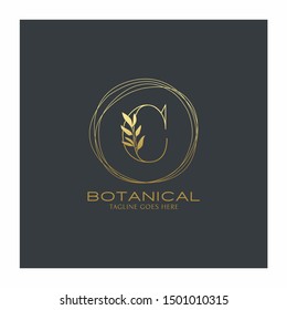 Letter C Beauty Botanical Vector Logo Stock Vector (Royalty Free ...