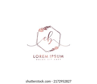 Letter Cb Initial Handwriting Logo Signature Stock Vector (Royalty Free ...