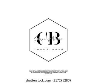 Letter Cb Initial Handwriting Logo Signature Stock Vector (Royalty Free ...