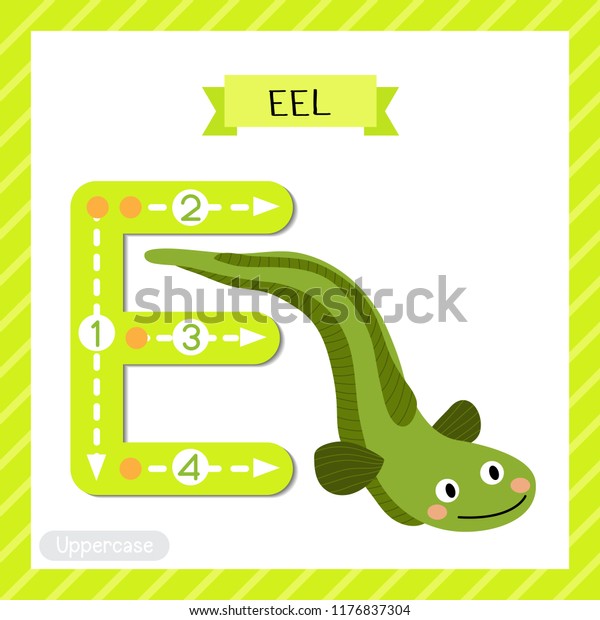 Letter E Uppercase Cute Children Colorful Stock Vector (Royalty Free ...