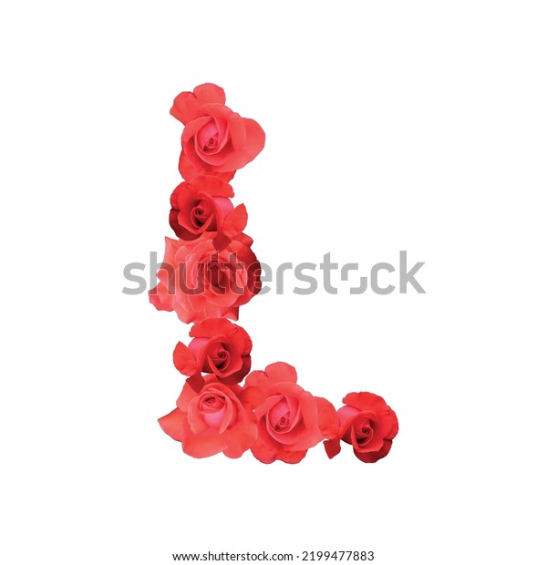 Letter L Letter Roses Buds Flowers Stock Vector (Royalty Free ...