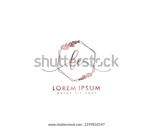 Letter Le Initial Handwriting Logo Signature Stock Vector (Royalty Free ...