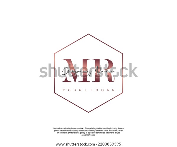 Letter Mr Initial Handwriting Logo Signature Stock Vector (Royalty Free ...