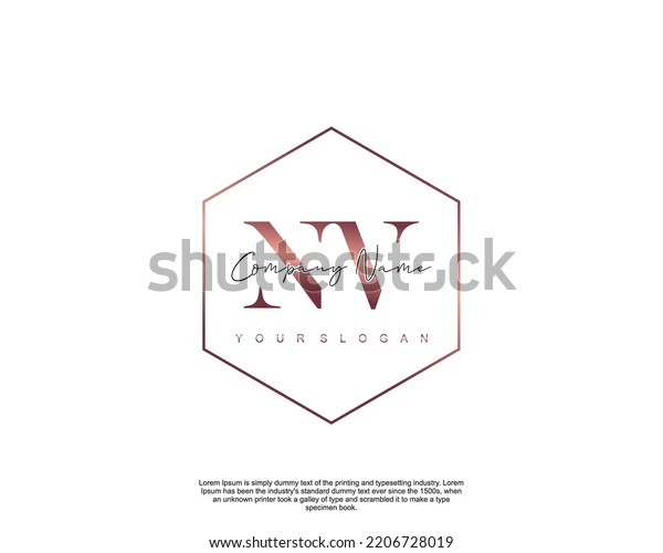 Letter Nv Initial Handwriting Logo Signature Stock Vector (Royalty Free ...