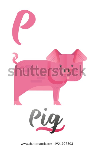 Letter P Pig Abc Illustrations Associated Stock Vector (Royalty Free ...