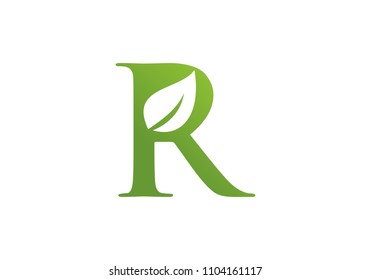 Letter R Leaf Nature Logo Stock Vector (Royalty Free) 1104161117 ...