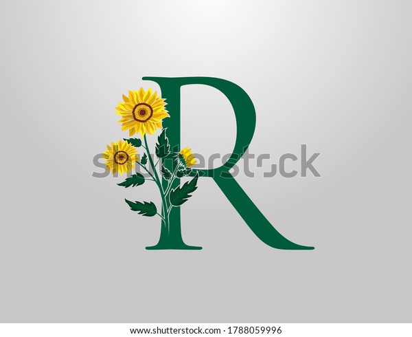 Letter R Vector Alphabet Sunflower Flower Stock Vector (Royalty Free ...