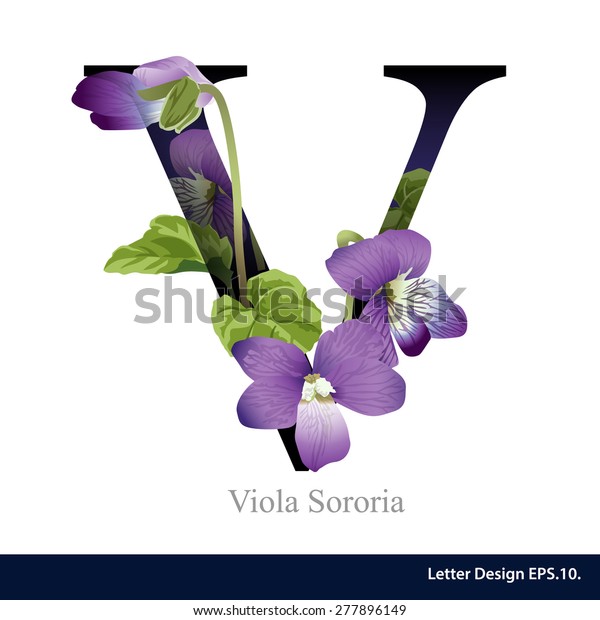 Letter V Vector Alphabet Viola Abc Stock Vector (Royalty Free ...