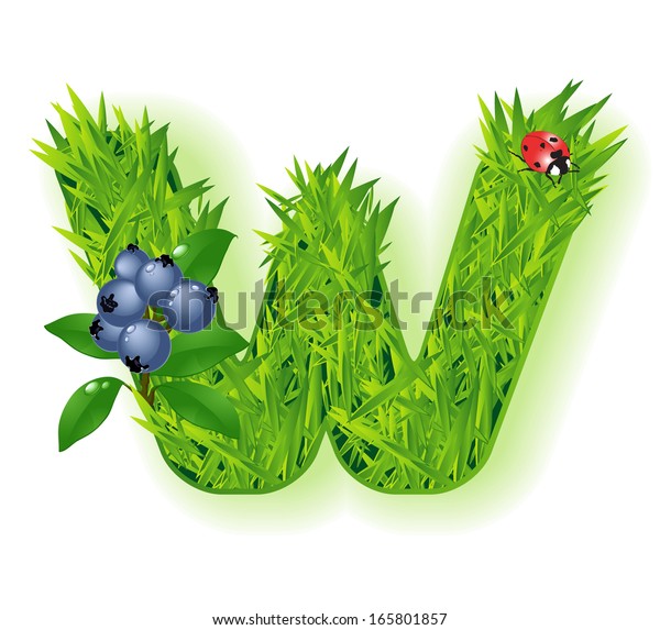 Letter W Green Leaves Summer Vector Stock Vector (Royalty Free ...