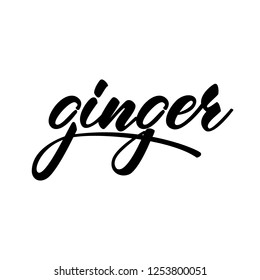 Lettering Design Ginger Vector Illustration: vector de stock (libre de ...