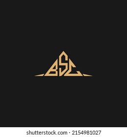 Letters Bsc B S Logo Minimalist Stock Vector (Royalty Free) 2154981027 ...