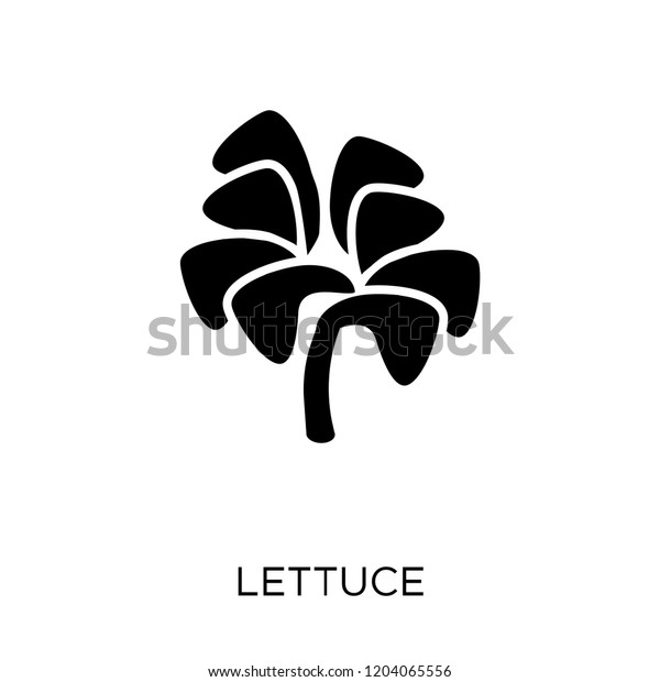 Lettuce Icon Lettuce Symbol Design Fruit Stock Vector (Royalty Free ...