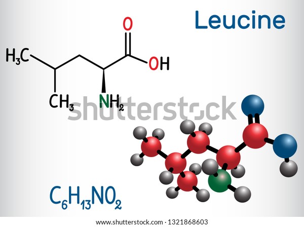 Leucine L Leucine Leu L Molecule Stock Vector (Royalty Free) 1321868603