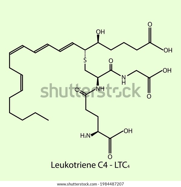 Leukotriene C4 Leukotriene Biomolecule Molecular Formula Stock Vector ...