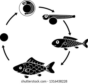 1,850 Fish Cycle Silhouette Images, Stock Photos & Vectors | Shutterstock
