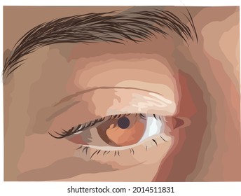 573 Hazel eyes vector Images, Stock Photos & Vectors | Shutterstock